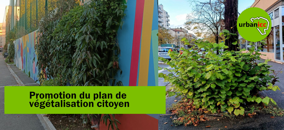 Ivry-Port : promotion du plan de végétalisation citoyen auprès des élus ...